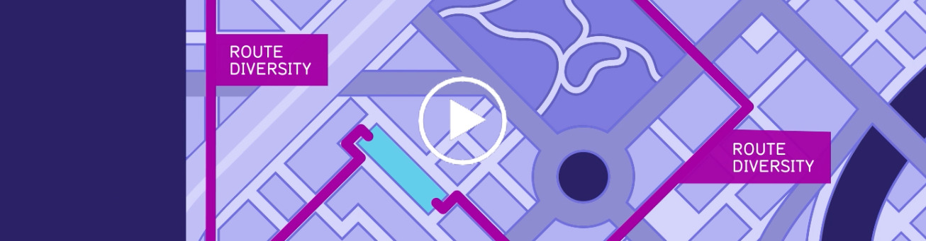 Watch: A Variety of Diversity Options on the Business-Only Fiber Network | Everstream | Better ...